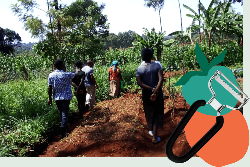 Spartan Collection – Spartan Kitchen Products